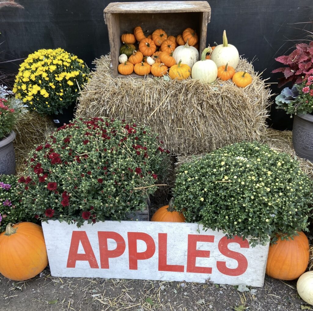 Ideas to Dress up Your Front Porch for Fall - The Flower Shop at Thiessen's